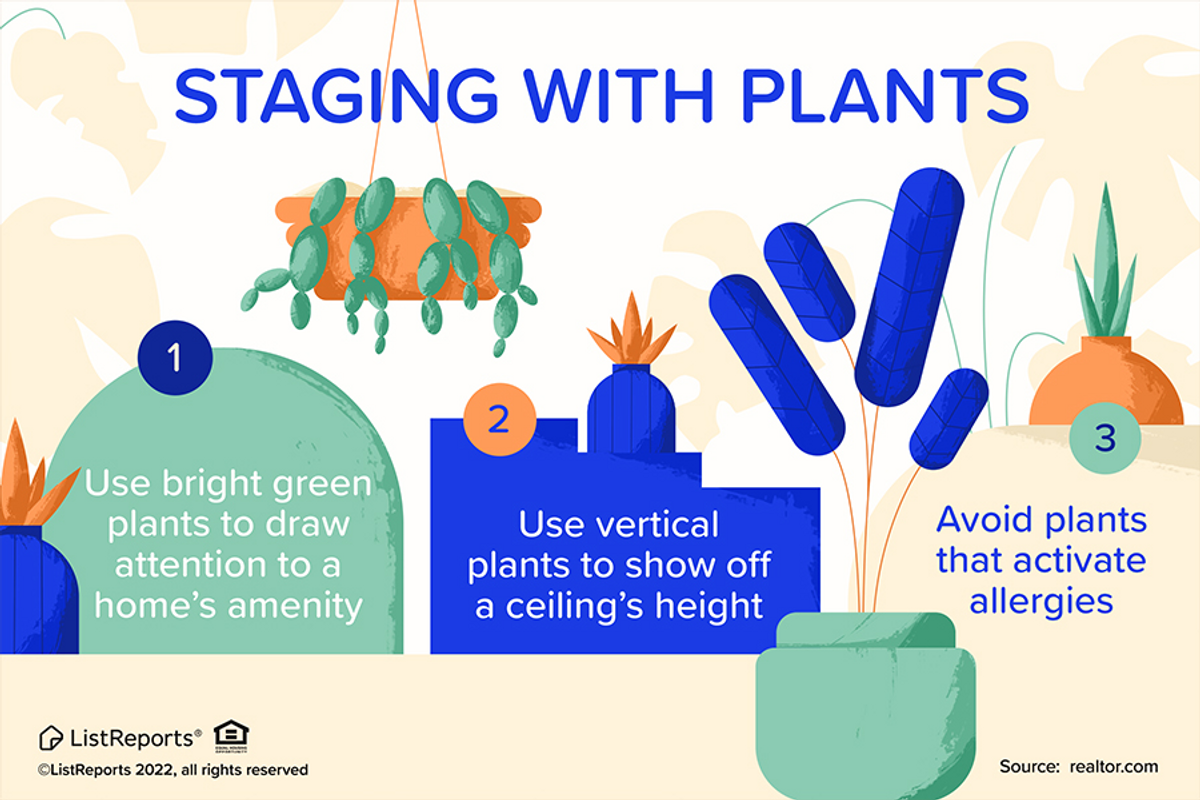 Staging With Plants