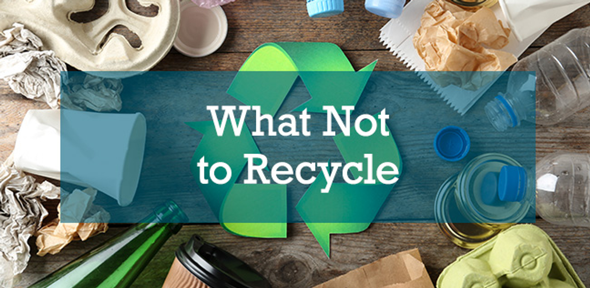 Think Before You Toss: How to End Recycling Contamination