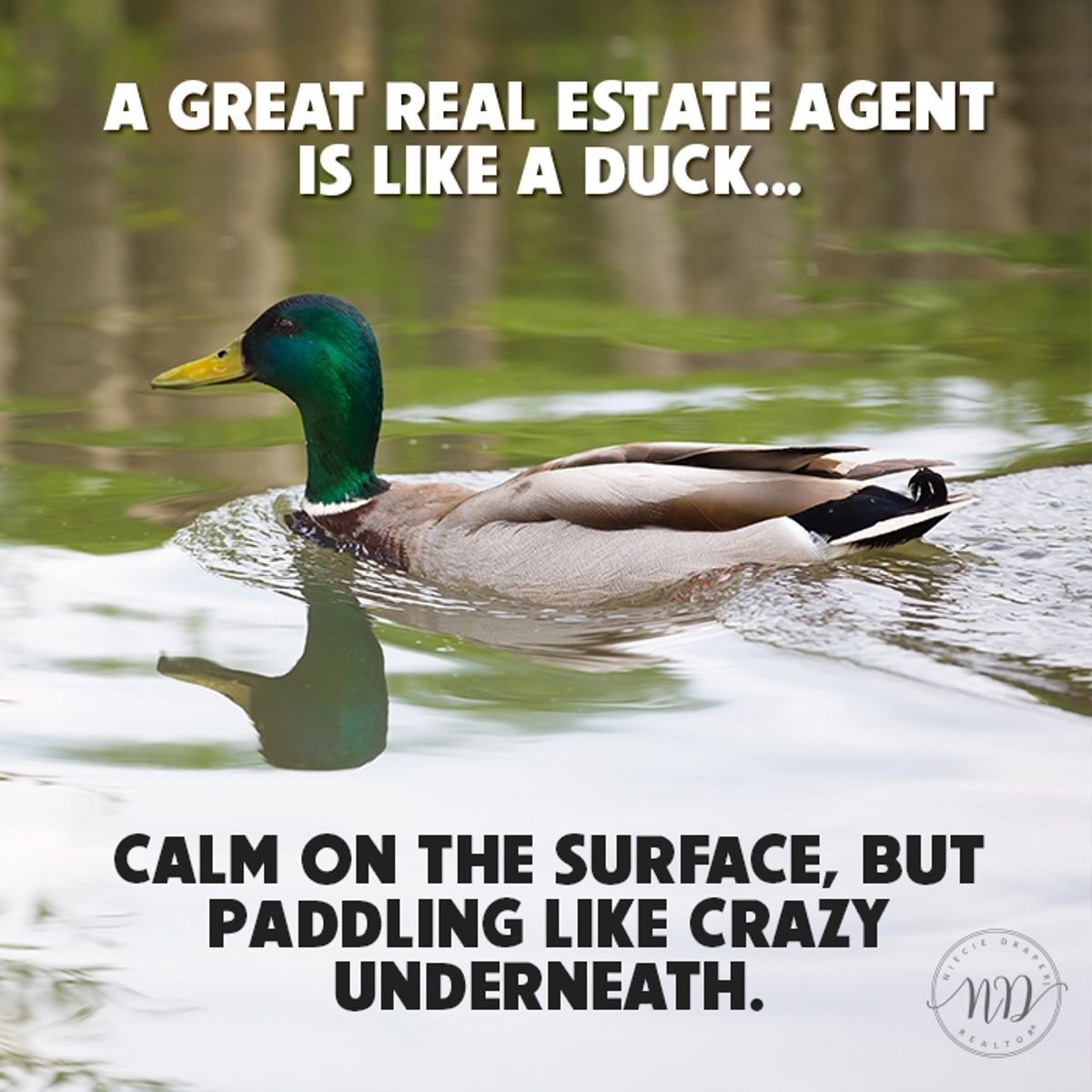 Real Estate Agent Like A Duck