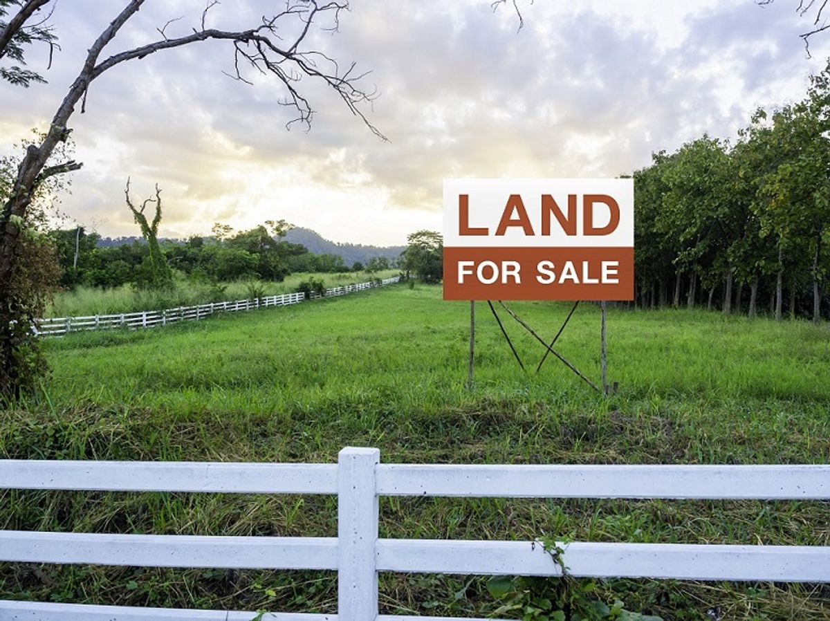 Buying land: what to consider | thats real estate with Matt Wineera