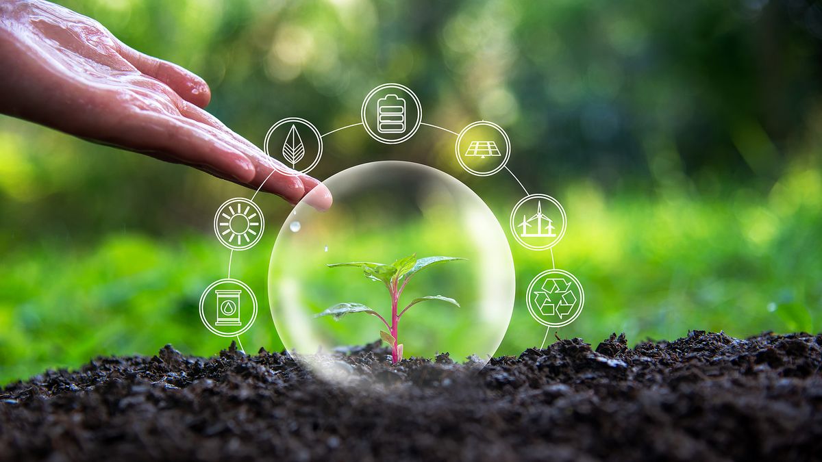 Eco-Friendly Spring Upgrades: Solar, Smart Tech, and Energy Efficiency ...